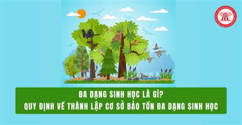 Bảo Tồn Đa Dạng Sinh Học Là Gì Hành Trình Bảo Vệ Kho Tàng Thiên Nhiên