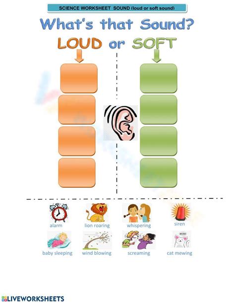Loud Or Soft Sound Worksheet