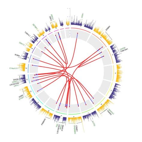 1 interaction analysis identifies unique risk loci pairs download scientific diagram