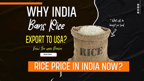 India S Ban On Non Basmati Rice Exports Raises Global Food Security