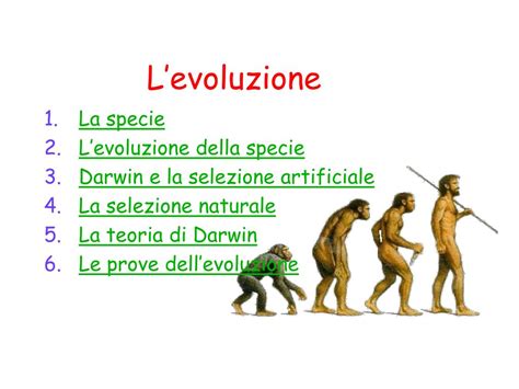 Evoluzione