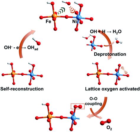 In Situ Raman Spectroscopy Reveals The Structure Evolution And Lattice