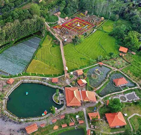 Kampung Flory Sleman Spot Outbond Seru Di Yogyakarta Indwisata
