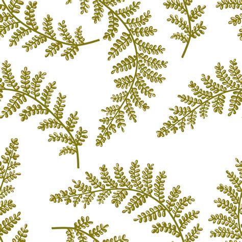 Hoja De Helecho Verde Rama Vector De Patrones Sin Fisuras Ilustraci N