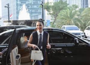 Mengintip Spesifikasi Pesawat Jet Pribadi Milik Harvey Moeis Suami