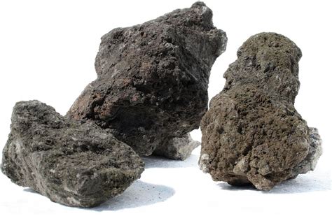 Zestaw Do Uprawy Drzewka Bonsai Klon Palmowy Liść Ceny i opinie