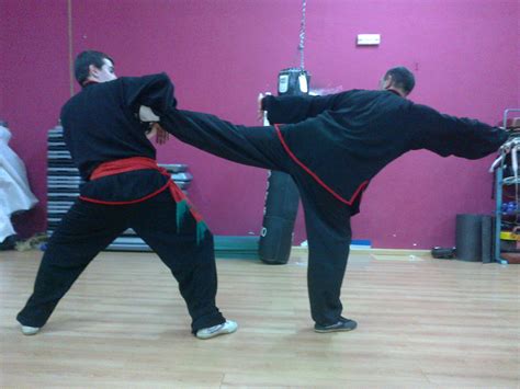 Blog De La Escuela De Artes Marciales Tin Sing Kwun SERIE TECNICA 15