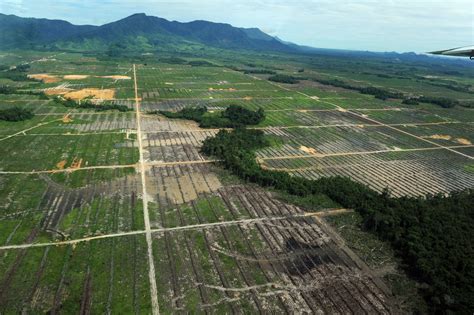 COP16 5 conseils pour préserver la biodiversité en faisant vos courses
