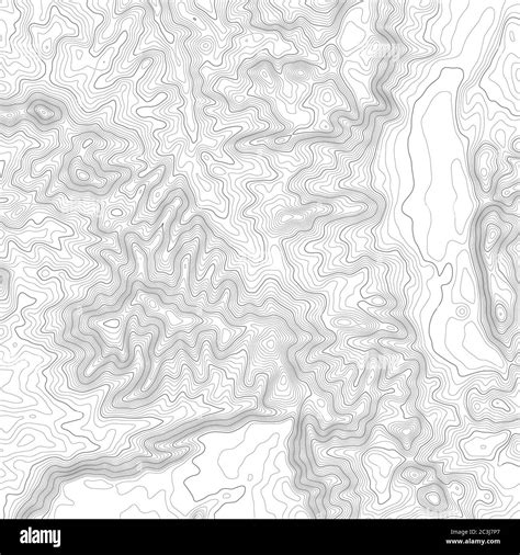 Topographic Map Background With Space For Copy Line Topography Map