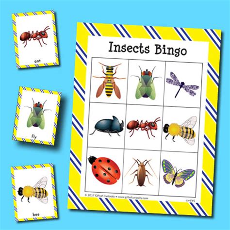 Insects Bingo Free Printable Gift Of Curiosity