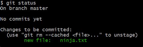 difference between the git pull and git fetch coding ninjas