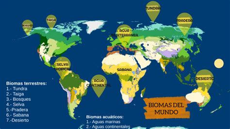 portugués Gestionar mermelada mapa de los biomas del planeta paso