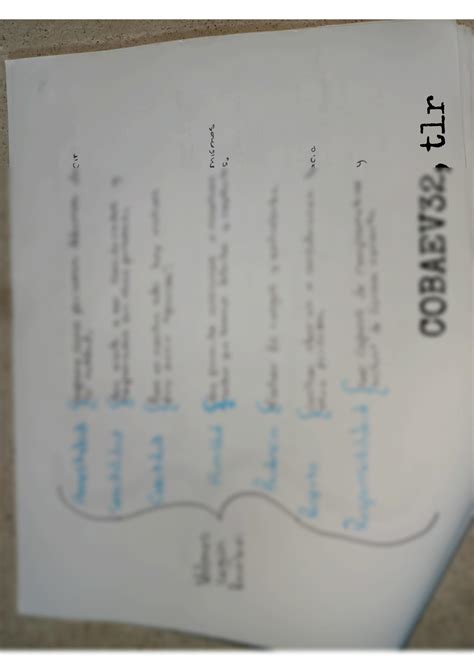 SOLUTION Cuadro Sin Ptico Sobre Los Valores Seg N Reinlein Studypool