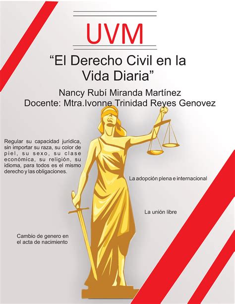 Revista Juridica Nrmm El Derecho Civil En La Vida Diaria Nancy Rub