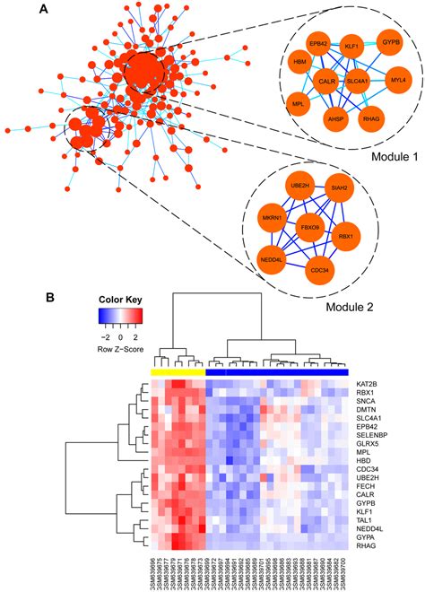 Transcriptome Research Identifies Four Hub Genes Related To Primary