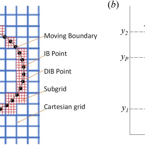 schematic of the interpolation using discretized immersed boundary download scientific diagram
