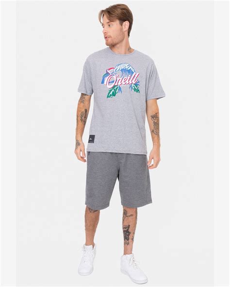 Riachuelo Camiseta Oneill Paradise Cinza Mescla