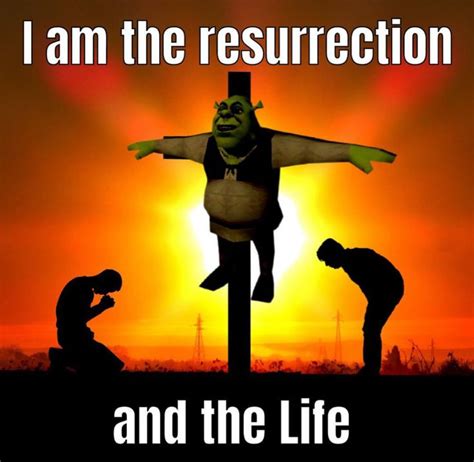 Shrek Meme Discover More Interesting Donkey Face Giant Green Memes