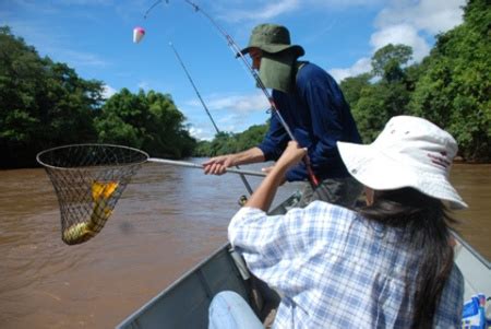 Fique atento Piracema começa em 05 de novembro nos rios de Mato Grosso