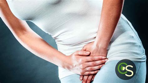 Causas del dolor pélvico en las mujeres Consejos de Salud YouTube
