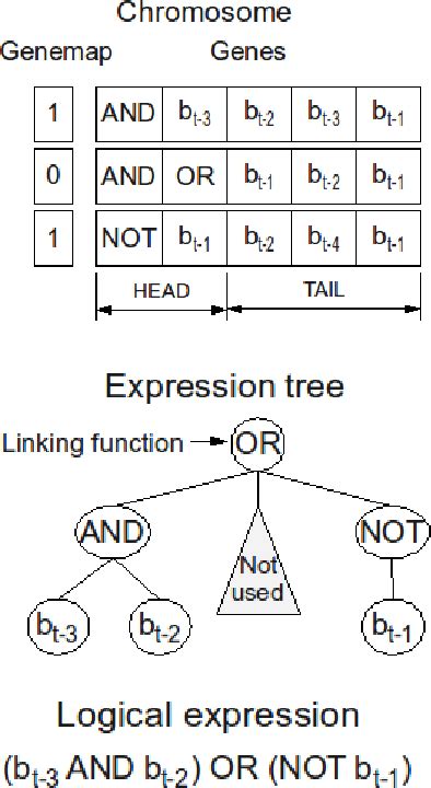 figure 1 from evolving gene expression programming classifiers for ensemble prediction of