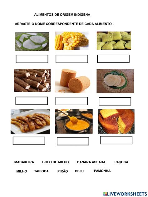 Biomas Brasileiros Interactive Activity Artofit