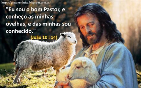 Eu sou o bom Pastor e conheço as minhas ovelhas MENSAGEM E FRASE DE