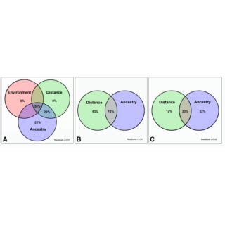 Venn Diagrams Showing The Relative Contributions Of Environment
