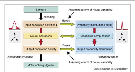 figure 3 from spiking networks for bayesian inference and choice semantic scholar