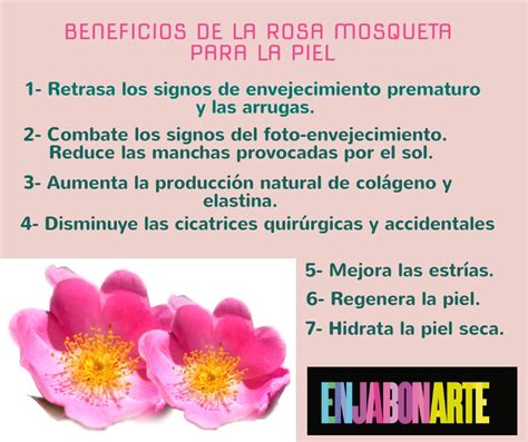 Sintético 100 Foto Como Quitar Manchas De Rosa Mosqueta En La Ropa El