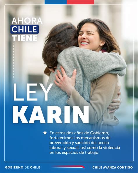 INFOGRAFÍA Ley Karin Qué se entiende por acoso sexual y laboral