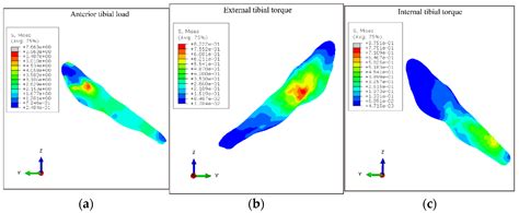 bioengineering free full text finite element analysis and experimental validation of the
