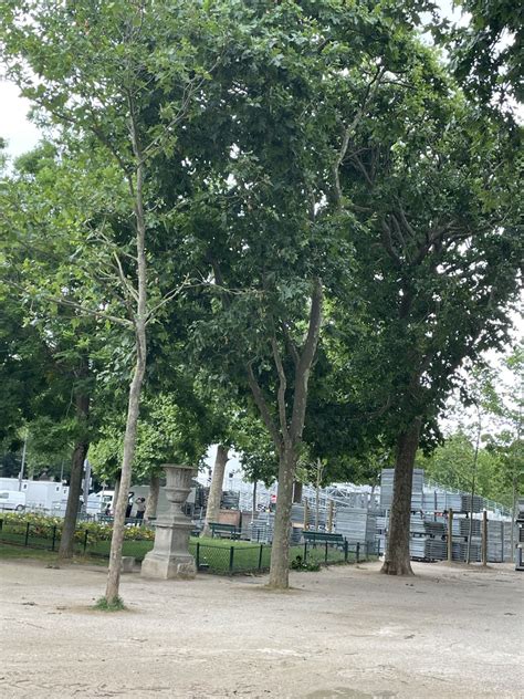 Les Amis Du Champ De Mars On Twitter N Oubliez Pas De Posez La