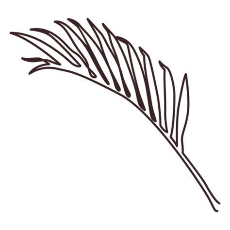 Design PNG E SVG De Desenho De Linha De Ramo De Palmeira Para Camisetas