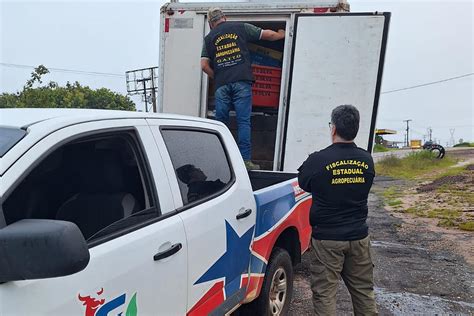 Adepará apreende 6 toneladas de peixe durante fiscalizações em