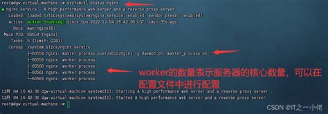 nginx安装搭建和环境准备教程（ubantu） apt install nginx csdn博客