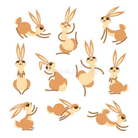 Coelho Bonito Ou Lebre Dos Desenhos Animados Coelhos Engraçados