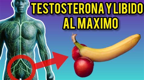 9 ALIMENTOS Para POTENCIAR La TESTOSTERONA Y La LIBIDO YouTube