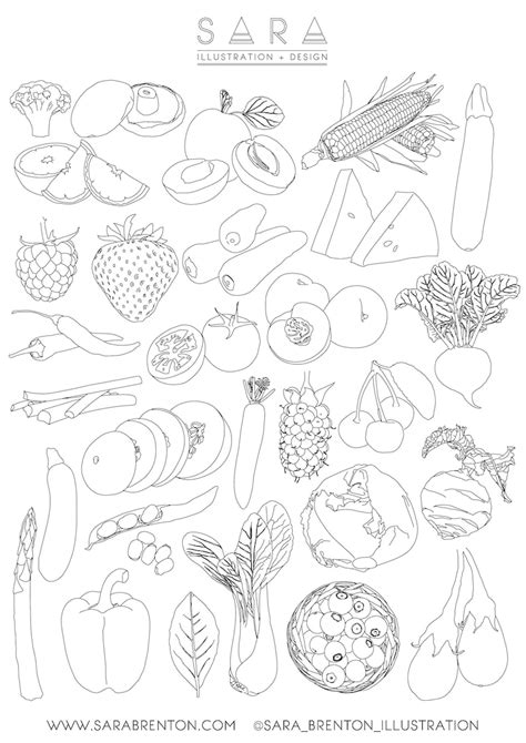 Fruits et légumes Illustrations Feuille de coloriage Etsy
