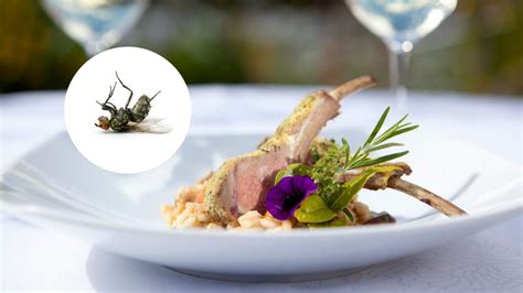 Capello O Mosca Nel Piatto Al Ristorante Posso Rifiutare Di Pagare