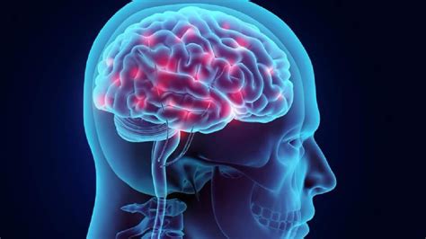 Físicos ponen en duda 100 años de teoría sobre cómo funciona el cerebro