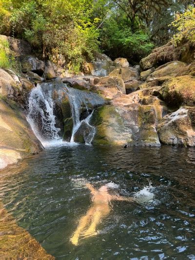 Naturist Tumblr Tumbex