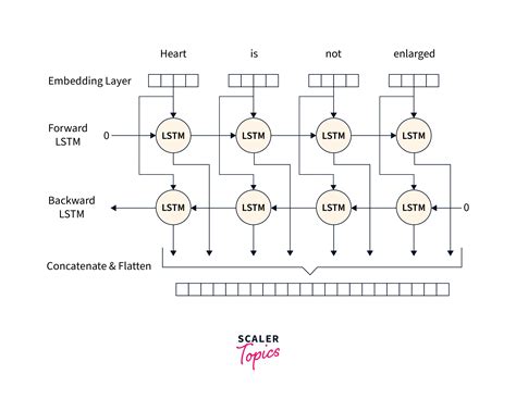 Lstms And Bi Lstm In Pytorch Scaler Topics