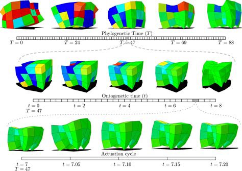 figure 1 from a minimal developmental model can increase evolvability in soft robots semantic