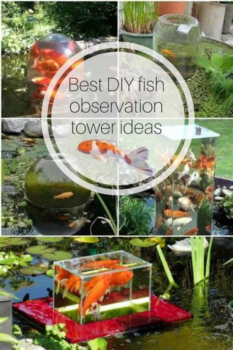 Fish Observation Tower An Easy DIY Video Tutorial Diy Ponds
