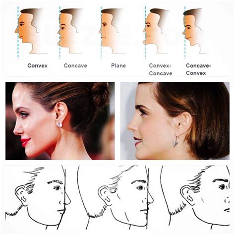 Perfil Concavo E Convexo LIBRAIN