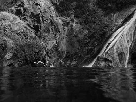 Descubre La Fascinante Vida En Las Profundidades La Anguila De Mar