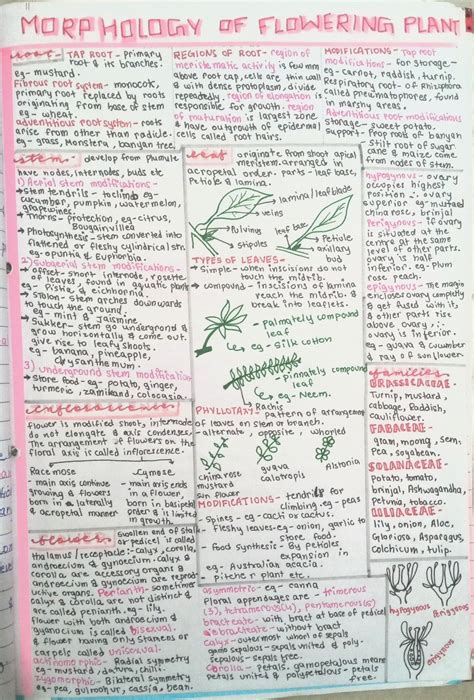 Biology Class 11 Learn Biology Biology Textbook Biology Facts Study