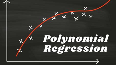 Mastering Polynomial Regression In Machine Learning Unleashing Curves