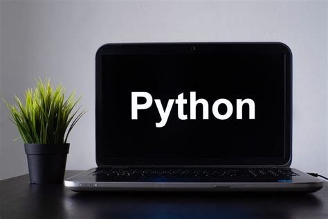 top 5 essential python libraries for data science beginners